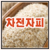 차전자피의 효능 먹는 방법 부작용 및 추천하는 이유 Feat 차전자피환 가루 네이버 블로그